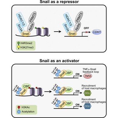 實驗室介紹 :: mhylab.nycu